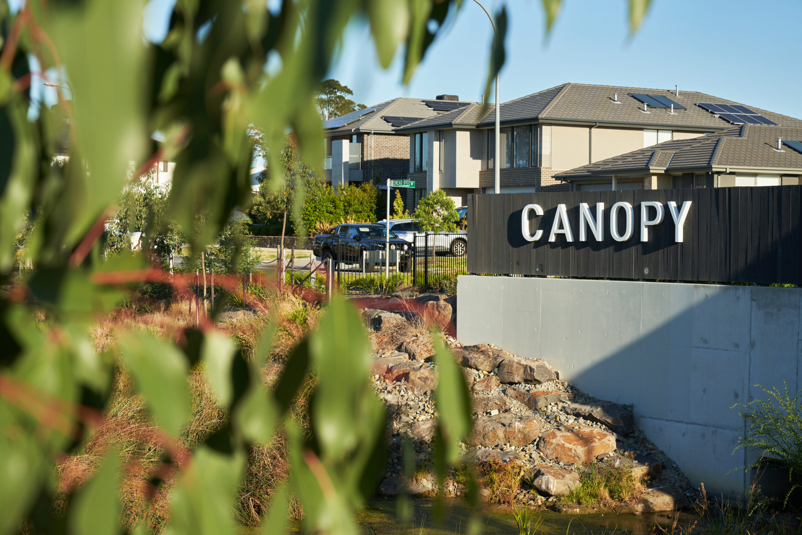 Canopy at Amstel - Brown Property Group